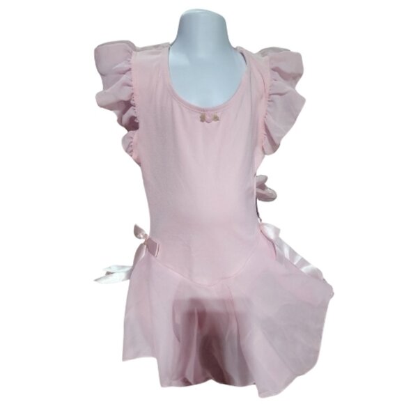 Costumes | Nwt Balletcore Leotard Skirt Costume Medium Child Flounce ...